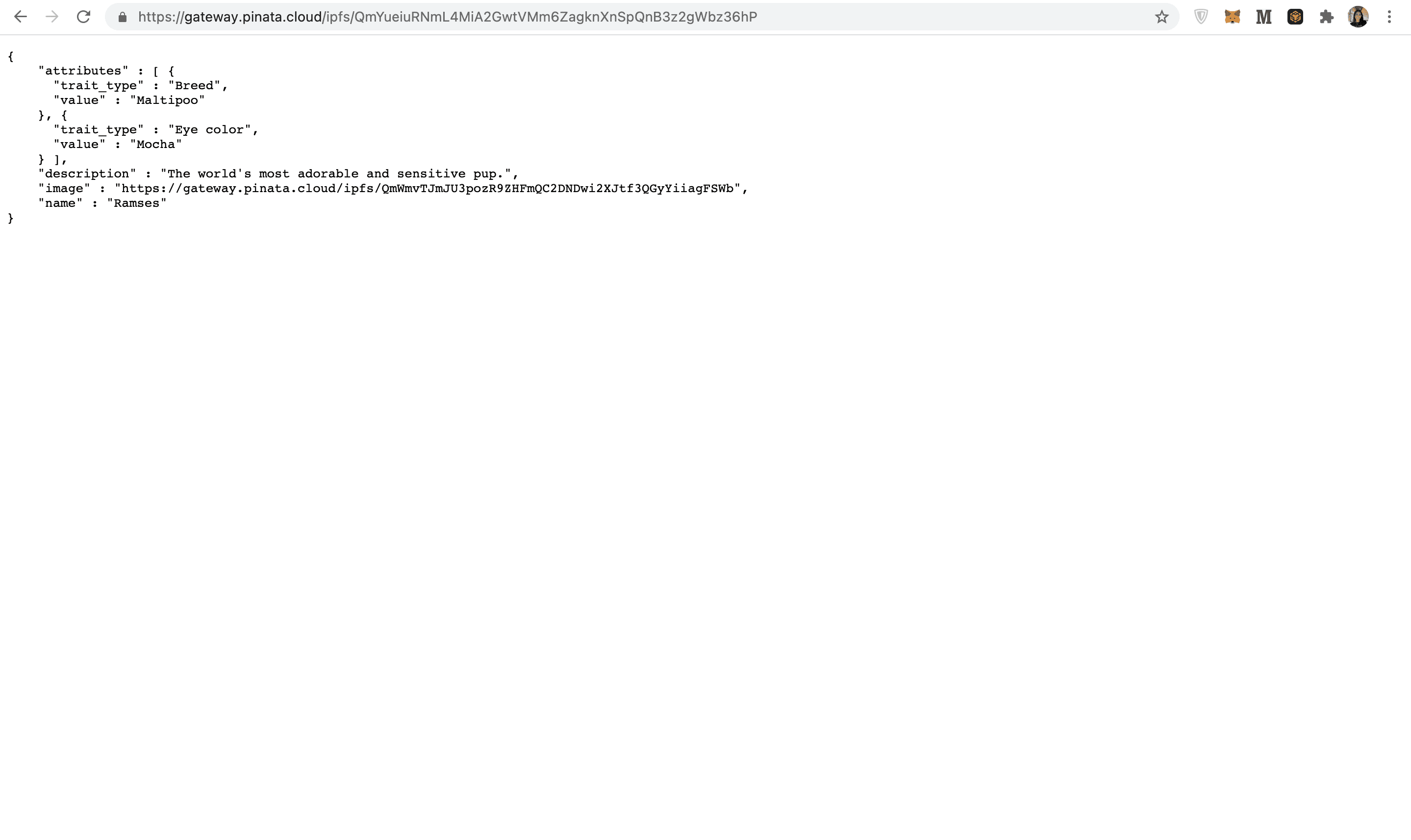 How to Mint an NFT Using Web3.js