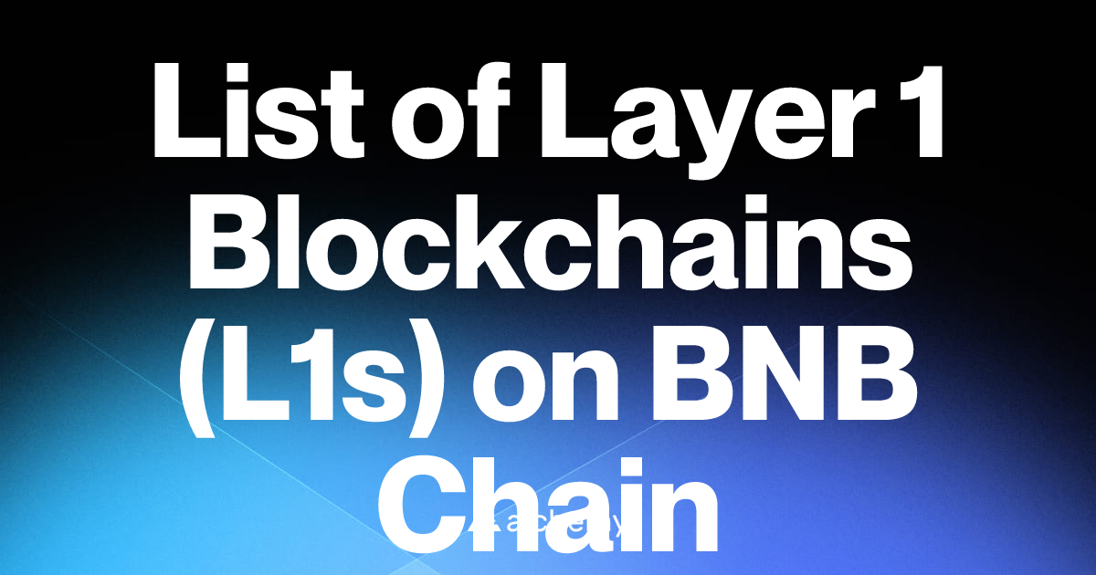 List of 4 Layer 1 Blockchains (L1s) on BNB Chain (2025)